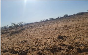 AGRICULTURAL PROPERTIES IN KINANIE – MACHAKOS COUNTY | Kenyan ...